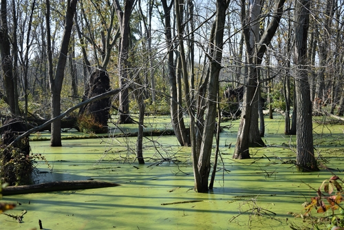 6 Places in Evansville You’ll Love More After Cataract Surgery | Hayden ...